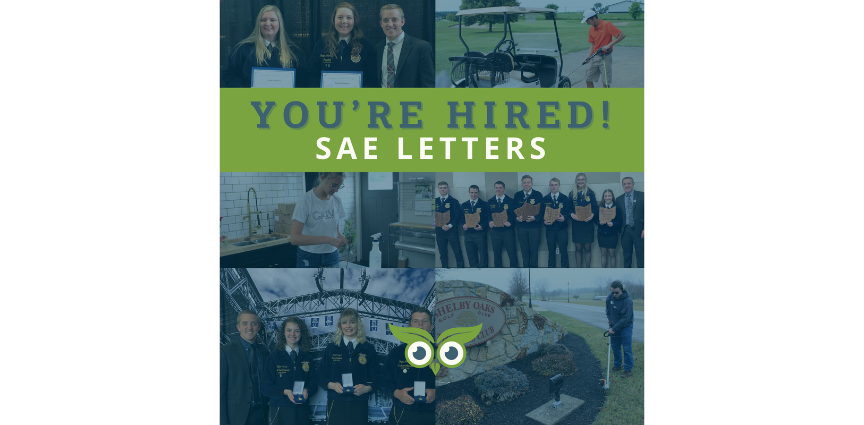 YOU’RE HIRED…SAE LETTERS– The Owl's Nest