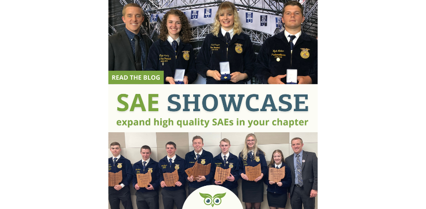 SAE SHOWCASE– The Owl's Nest