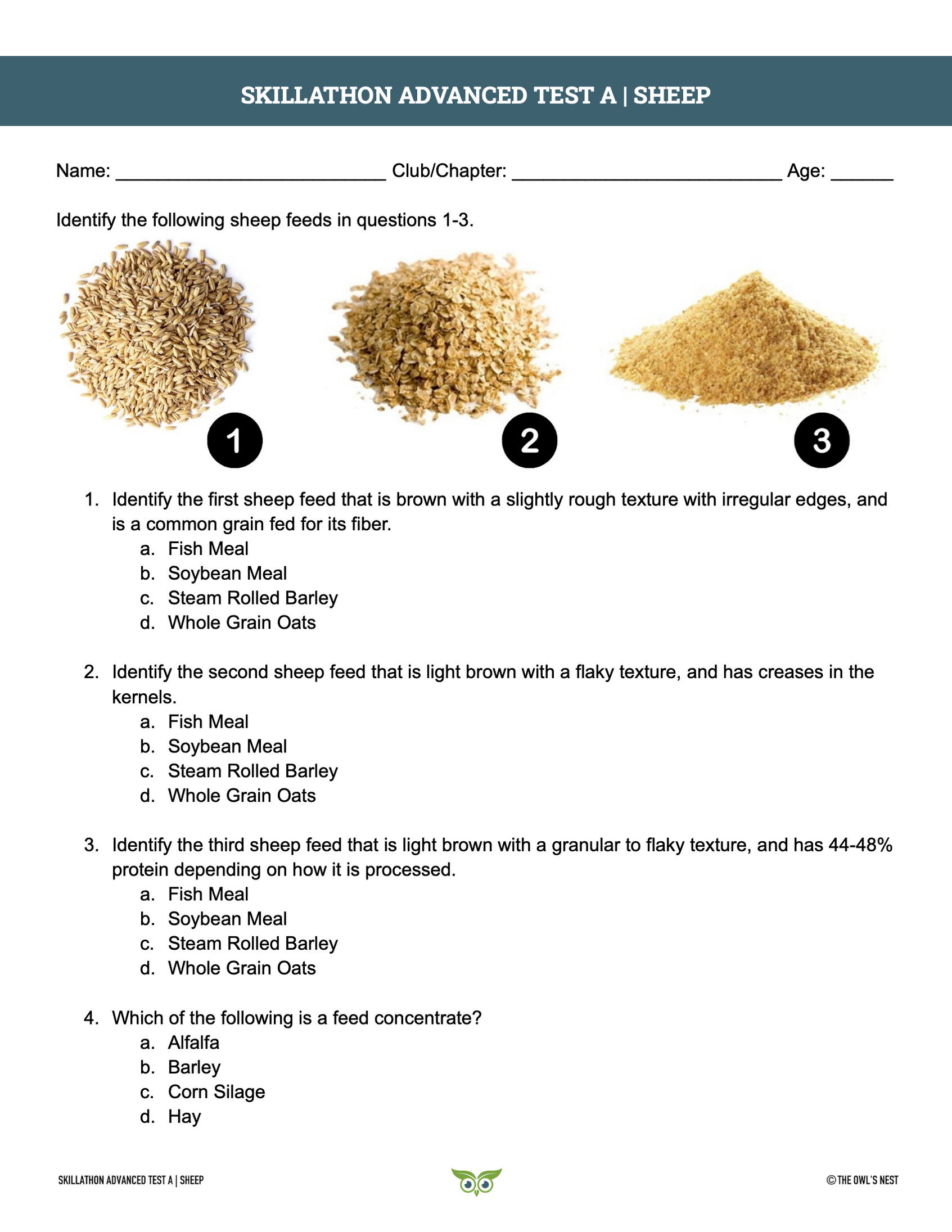 Skillathon Tests & Study Guides– The Owl's Nest