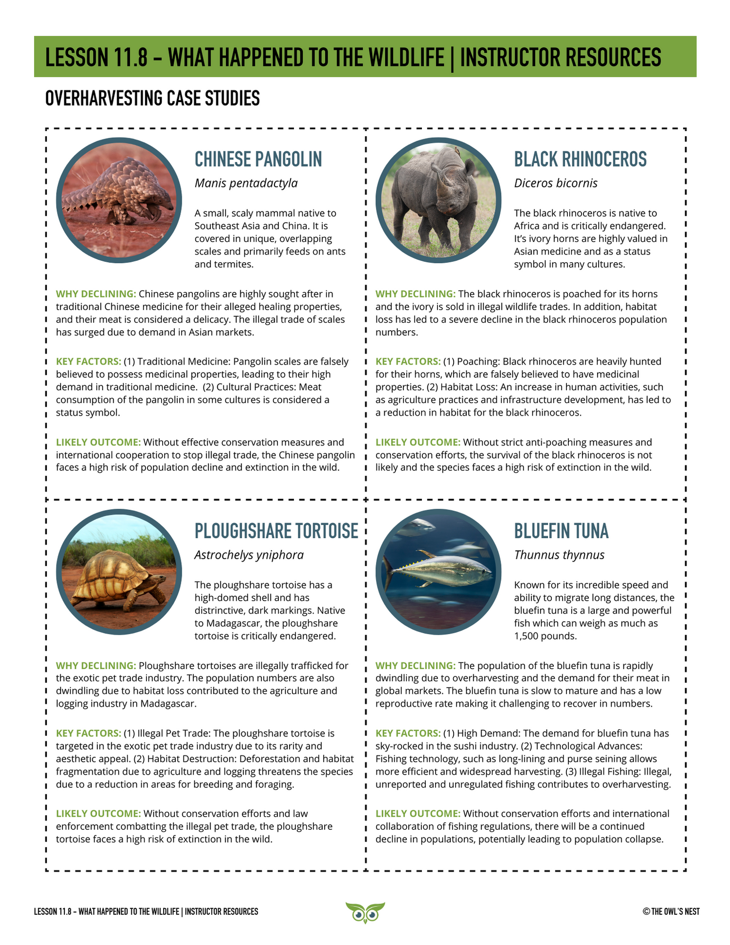 Natural Resources Unit | The Owl's Nest